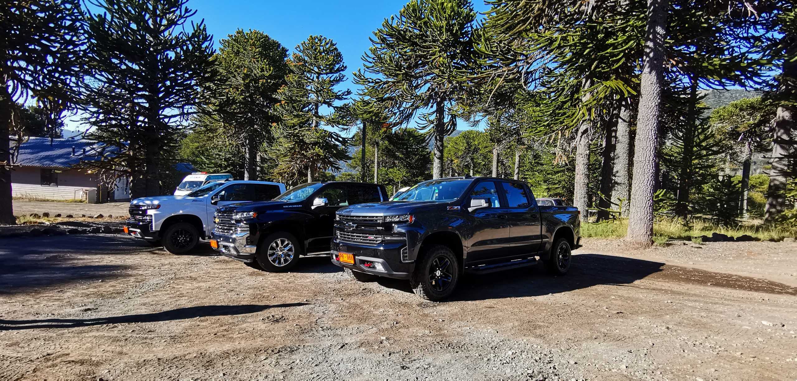 Yammine: Por fin llega a Chile la totalmente nueva Chevrolet Silverado ...