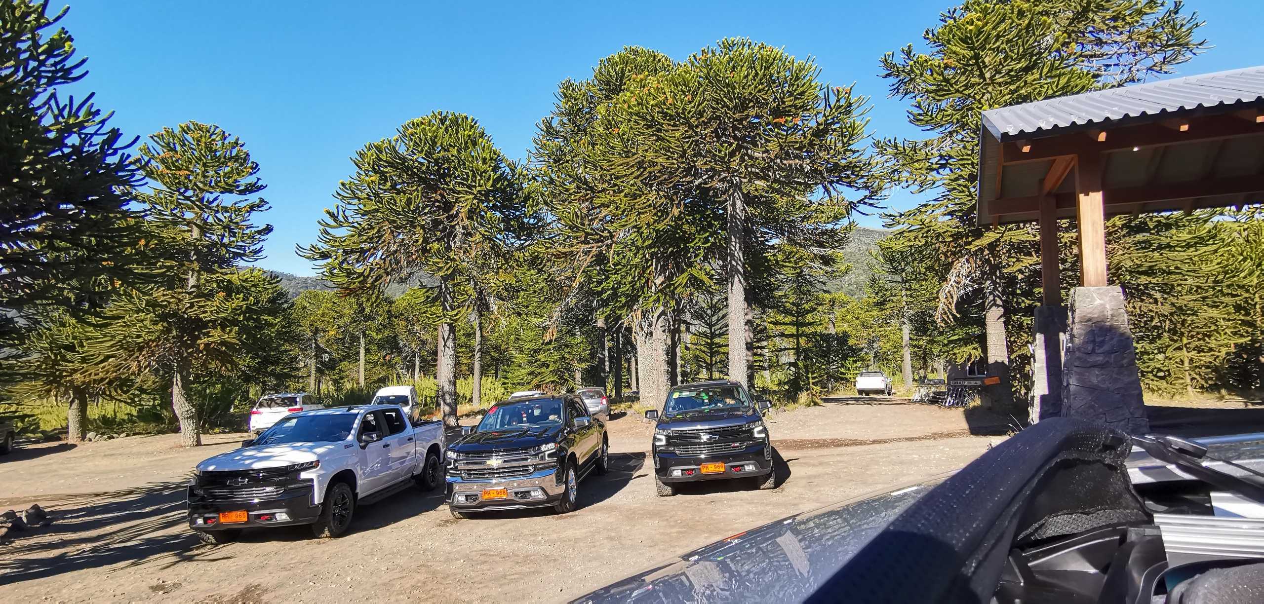 Yammine: Por fin llega a Chile la totalmente nueva Chevrolet Silverado ...