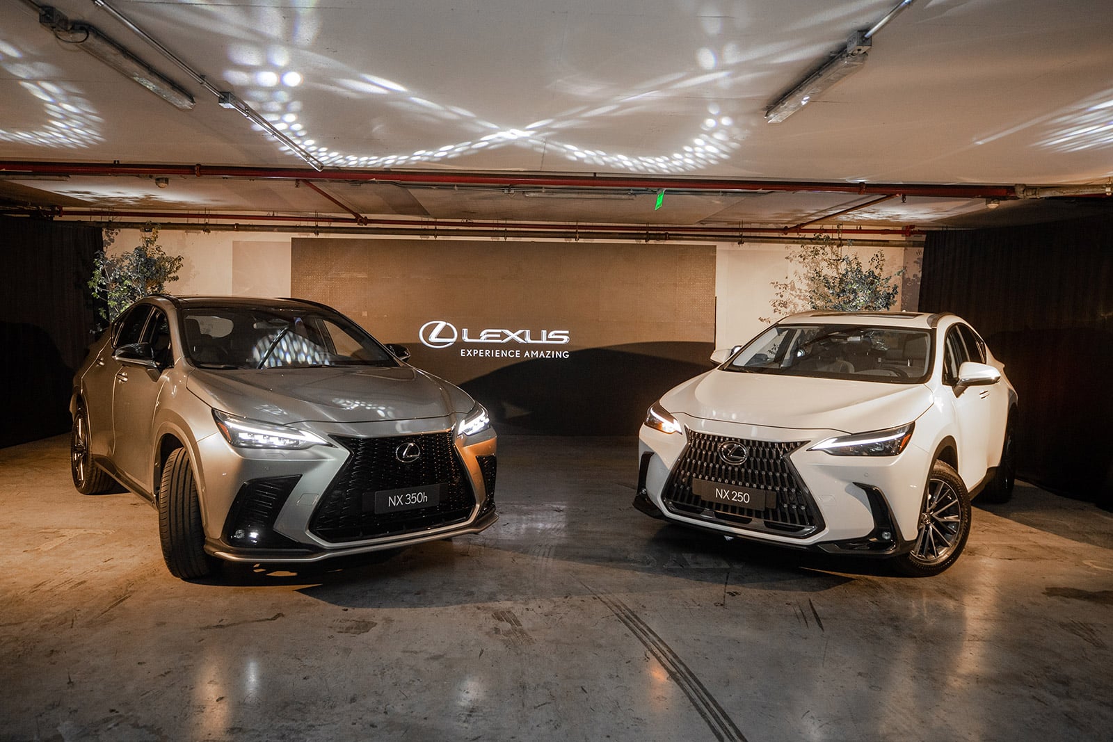 La segunda generación del Lexus NX hace su estreno en Chile
