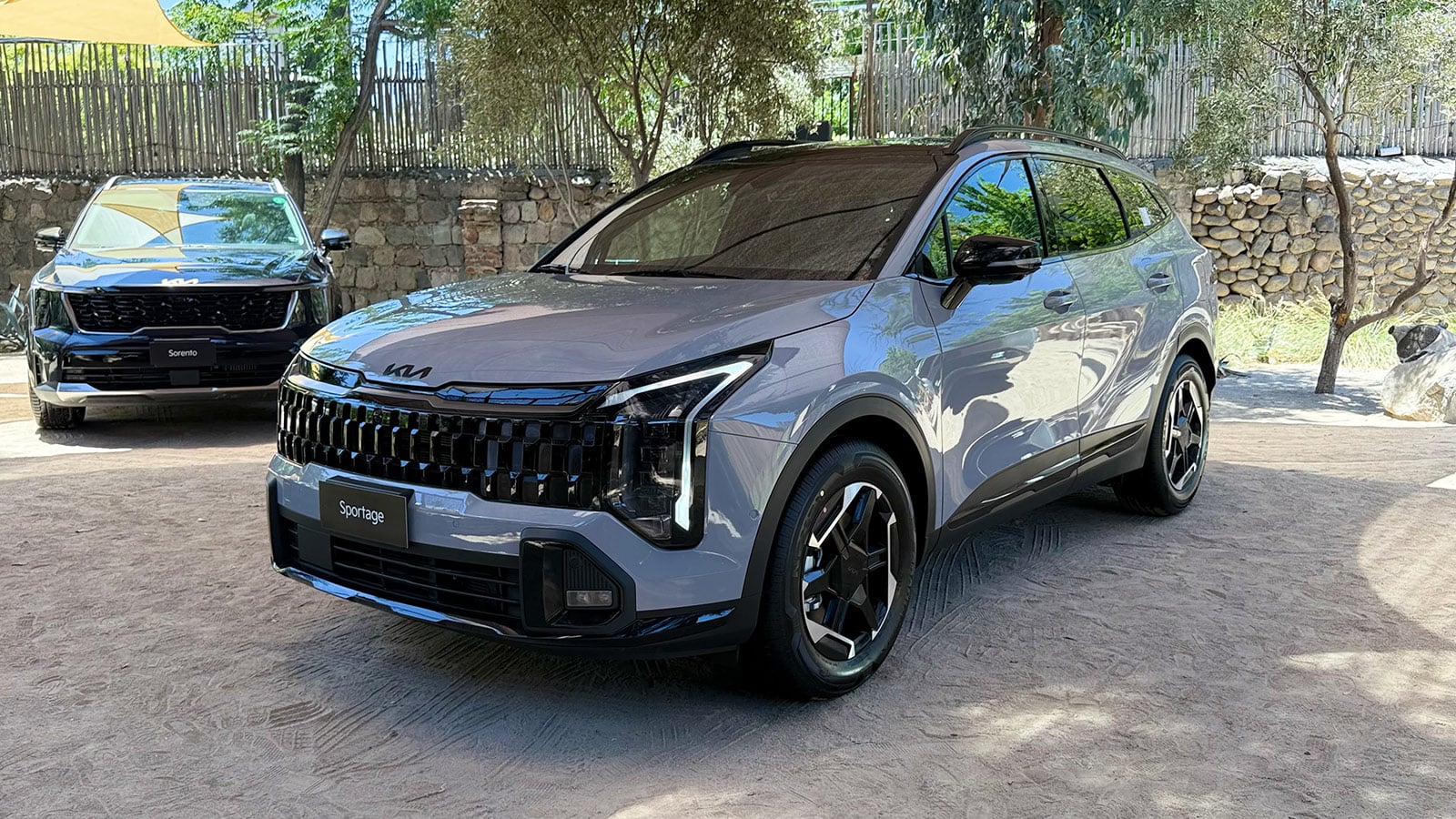 Tres nuevos híbridos (HEV) llegan a Chile: Sportage, Sorento y Carnival